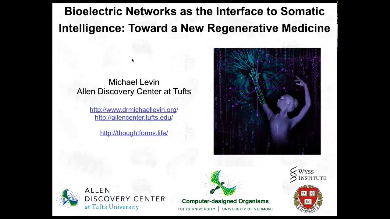 Michael Levin – Bioelectric Networks as the Interface to Somatic ...