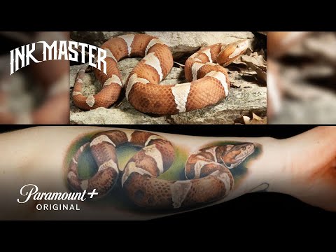 Ink Master’s Best (& Worst) Snake Tattoos 🐍