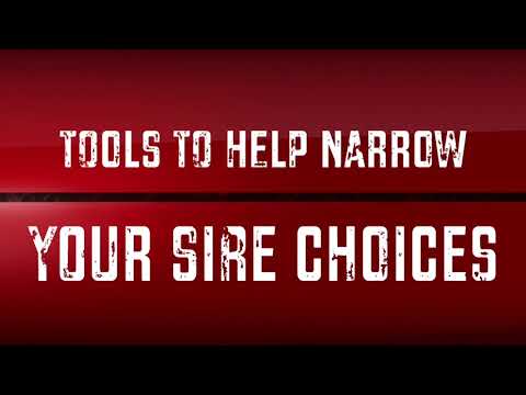 Red Book Plus Online Promo