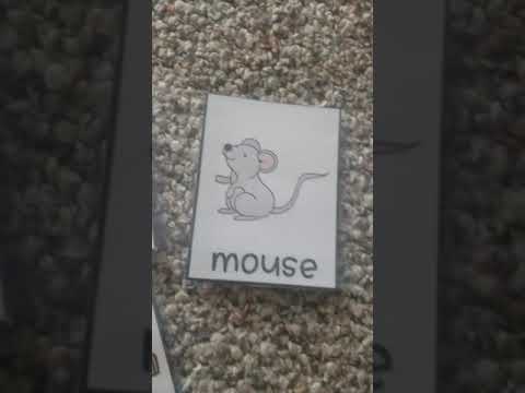 Rhyming words