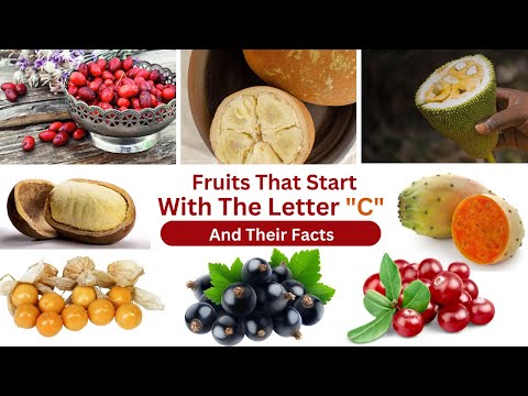 Fruit That Start With Letter "C" | English Vocabulary | Types Of Fruits That Start With "C"