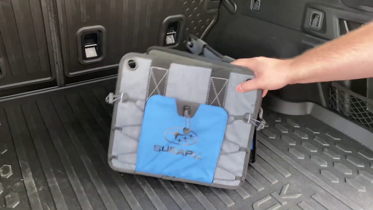 Subaru Cargo Organizer