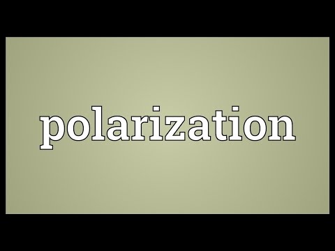 Polarization Meaning