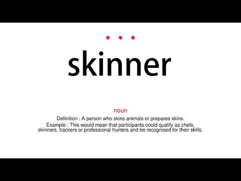 How to pronounce skinner - Vocab Today