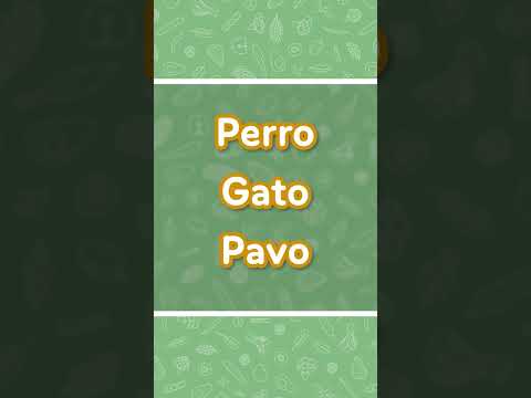 How Do You Say Turkey In Spanish?