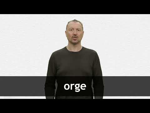 English Translation of “ORGE” | Collins French-English Dictionary
