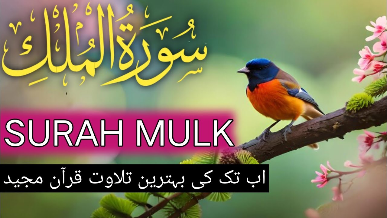 Surah AL Mulk Full Beautiful Quran Recitation