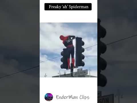 Spiderman : No money at Home 🤣
