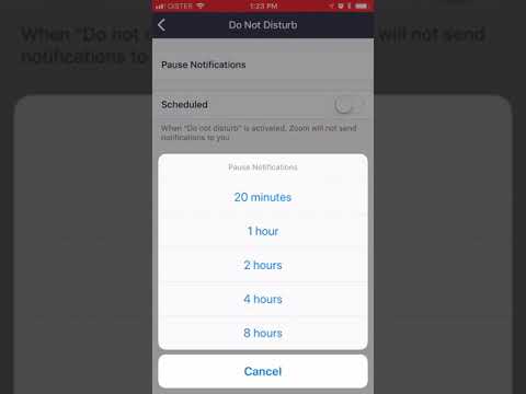 How to enable DO NOT DISTURB in ZOOM?