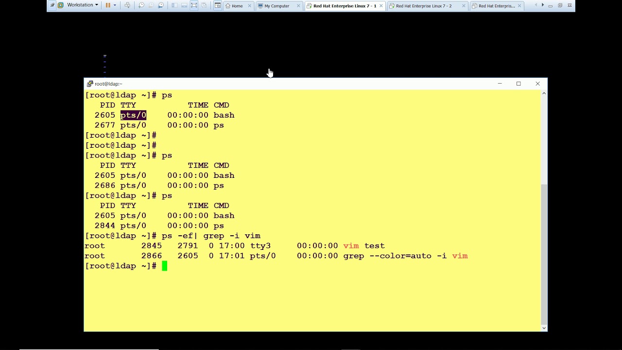 Practice Lab Session - 1 (Process Management) in Linux