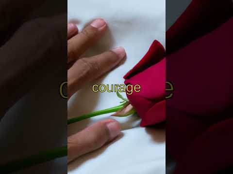 "The Hidden Meaning of Red Roses: Revealing Floriography #SecretLanguage #RoseFloriography"