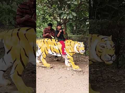 tiger ???? horn ???? prank ????#shorts