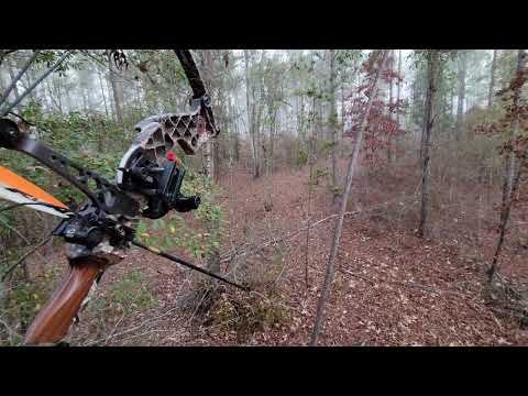 View from my Summit Tree Stand
