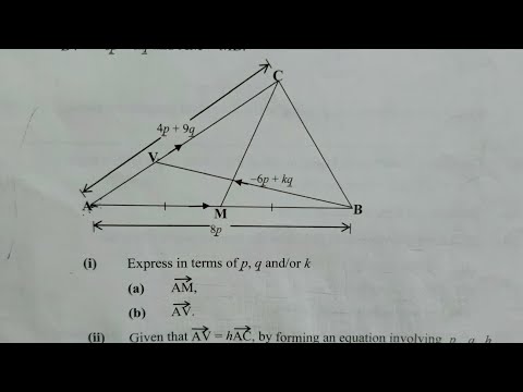 Vector exam question 2020 Paper 2