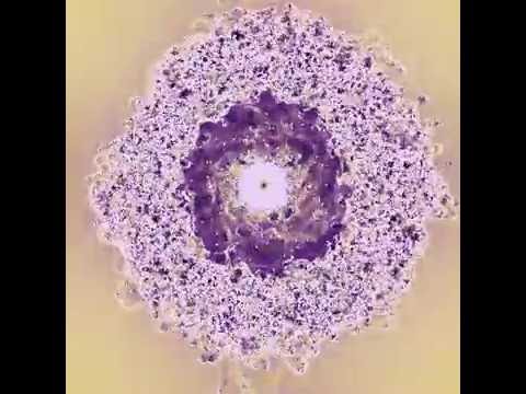 stars / unstable – stars, crystals, and more