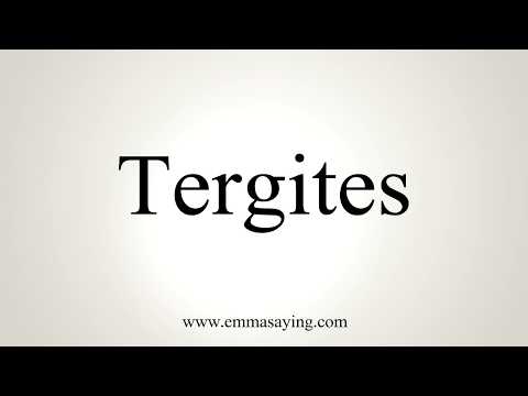 How To Pronounce Tergites
