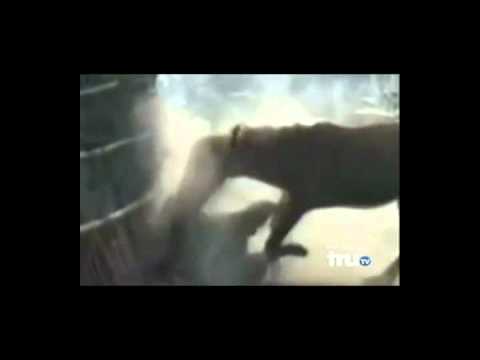 Horsebastard - Short Controlled Bursts - Dj Hamohash | Metal ...