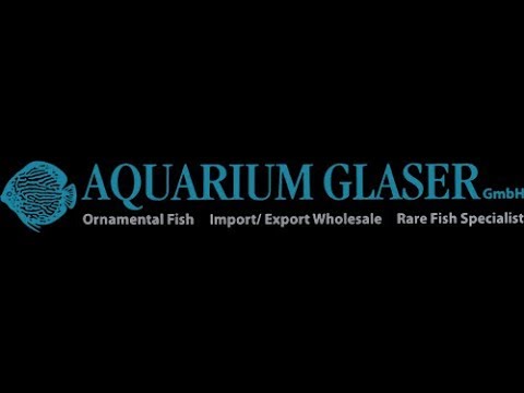 Aquarium Glaser GmbH. Ч2. Германия
