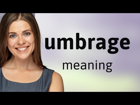 Umbrage • UMBRAGE meaning