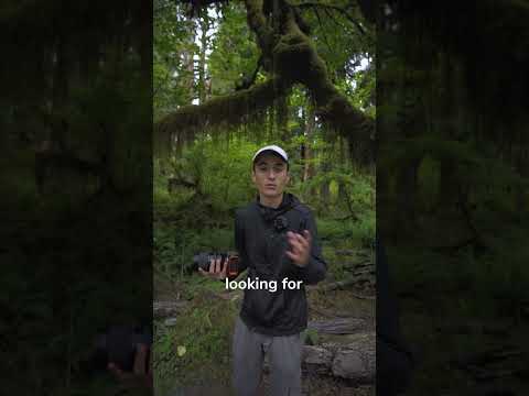 Shooting in Busy Scenes - How to Create Portfolio-Quality Images