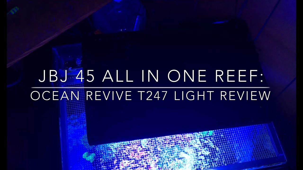 Ocean Revive T247 LED Light 8 month Review !!
