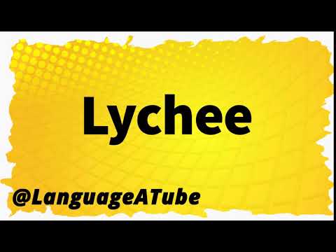 Lychee Pronunciation ⚡️ How To Pronounce Lychee!