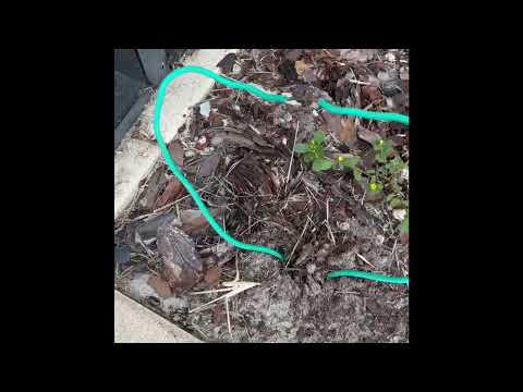 FL Code Compliant Swimming Pool - Shocking Results