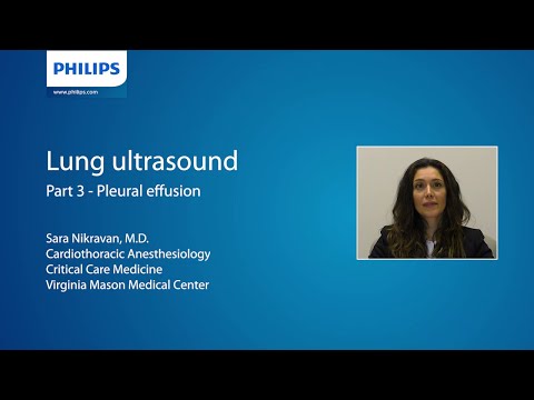 Dr. Sara Nikravan: Lung ultrasound short-lecture series part 3 ...