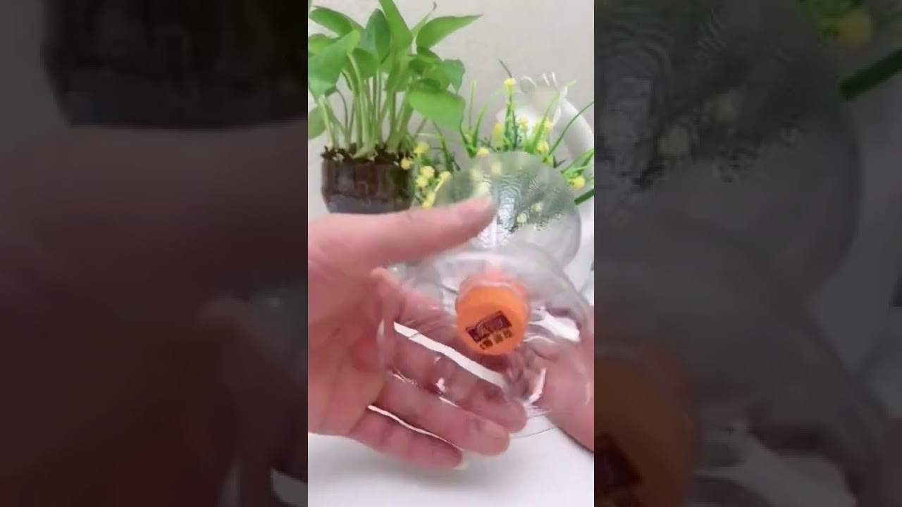 super simple recycled plastic bottle planters 🌷🌹🌾🏵️