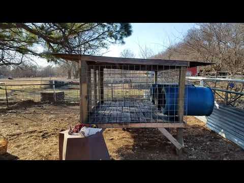 Off Ground Dog Kennel