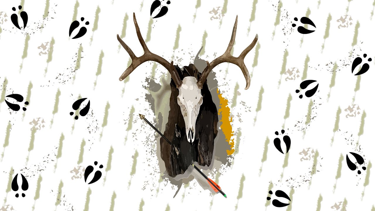 Graphic Speed Build // Deer Mount Image to Vector