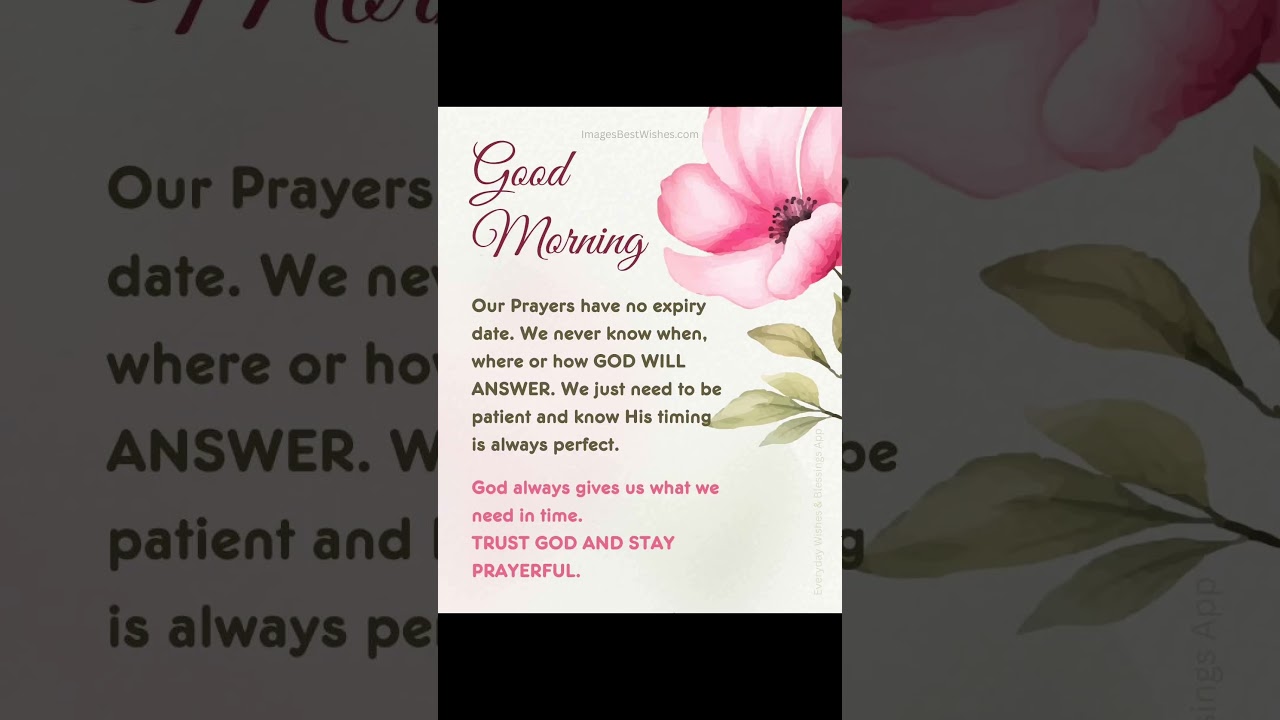 Good Morning Beautiful Images | Morning Greetings Pictures | Morning Quotes #goodmorning