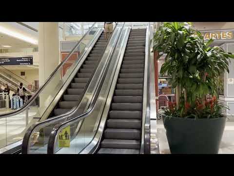 Chicago Midway International Airport July 2023 | Ticketing, Baggage Claim, Parking Walking Tour