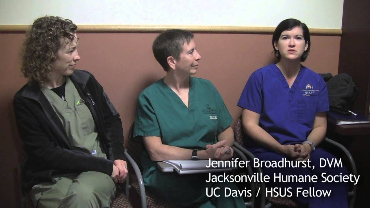 Welcome to UC Davis Shelter Medicine Fellowship Camp!