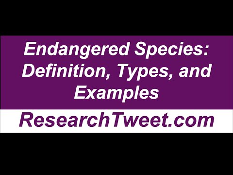 Endangered Species: Definition, Types, and Examples
