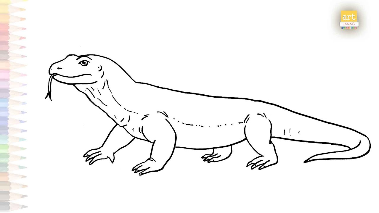 Komodo dragon drawing sketches | Outline drawings easy | How to draw A Komodo dragon step by step