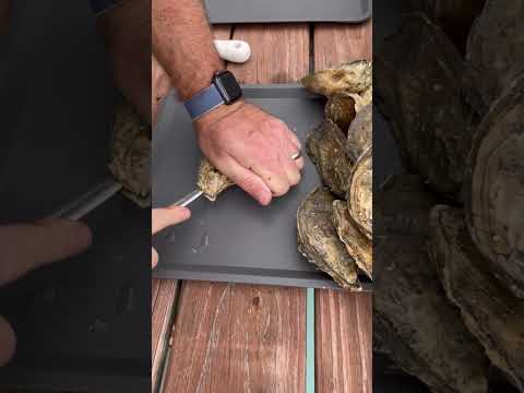 Shucking and Grilling Oysters: A Beginner's Guide