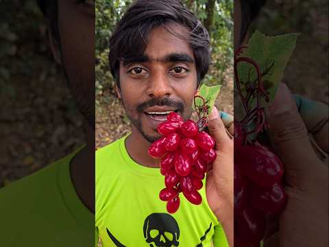 Fruit sharing, fun vibes! ❤️