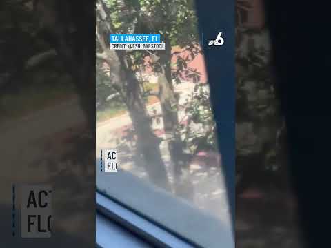 Active shooter reported at FSU, at least 6 hospitalized