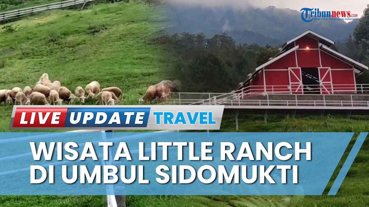 Menjelajahi Little Ranch, Wisata Ala Pegunungan New Zealand di Kawasan ...