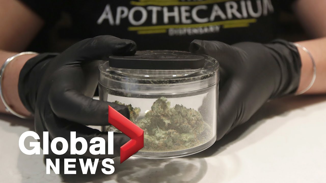 Canada's cannabis products routinely mislabelled, a Nova Scotia study finds