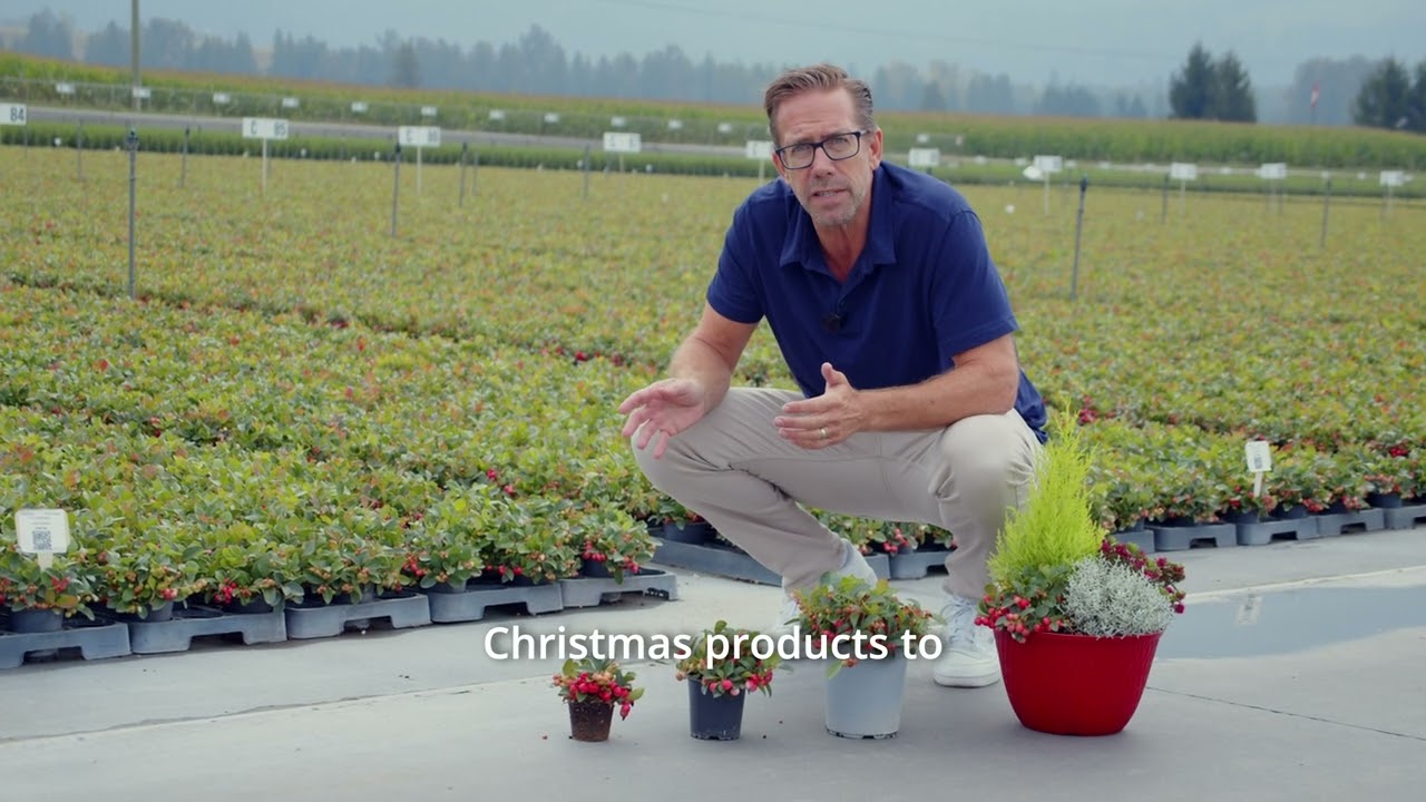Product Update: Gaultheria Procumbens with Scott