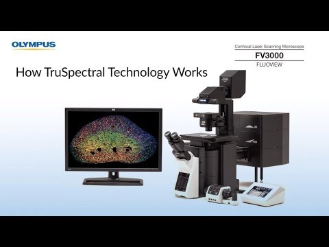 How TruSpectral Technology Works