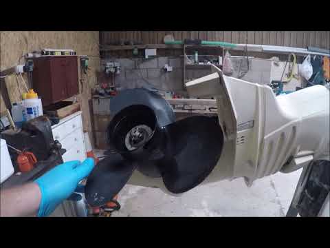 An Evinrude E-Tec 50 HP Outboard Engine for free !
