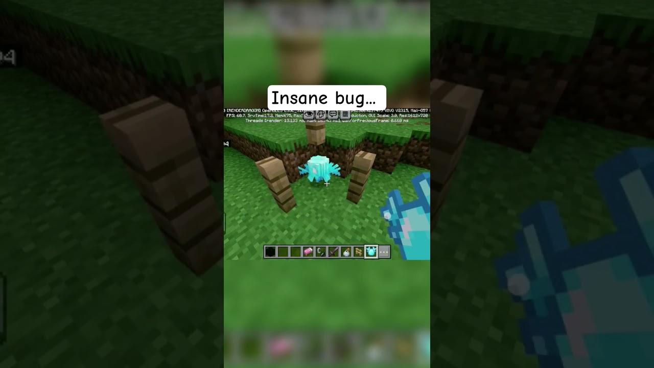Insane bug in Minecraft 💀💀#minecraft