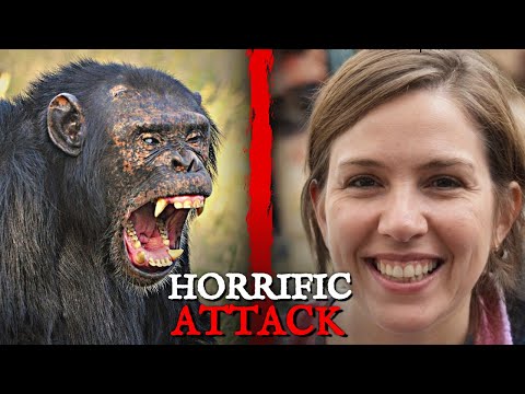 The Terrifying Last Minutes of Natasha Lee Before Chimp Ate Her Face