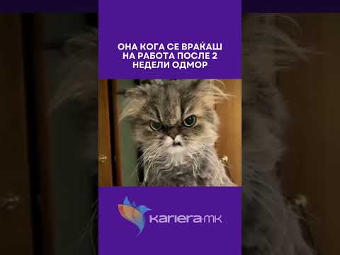 #work #karieramk #skopjemacedonia #funny