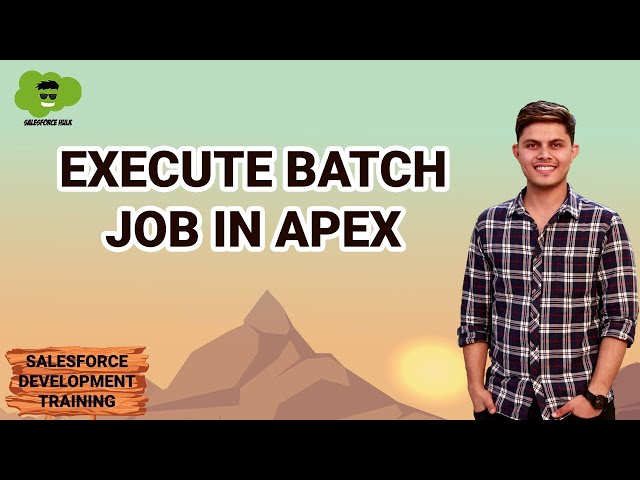 Execute Batch Class in APEX - S2 Labs