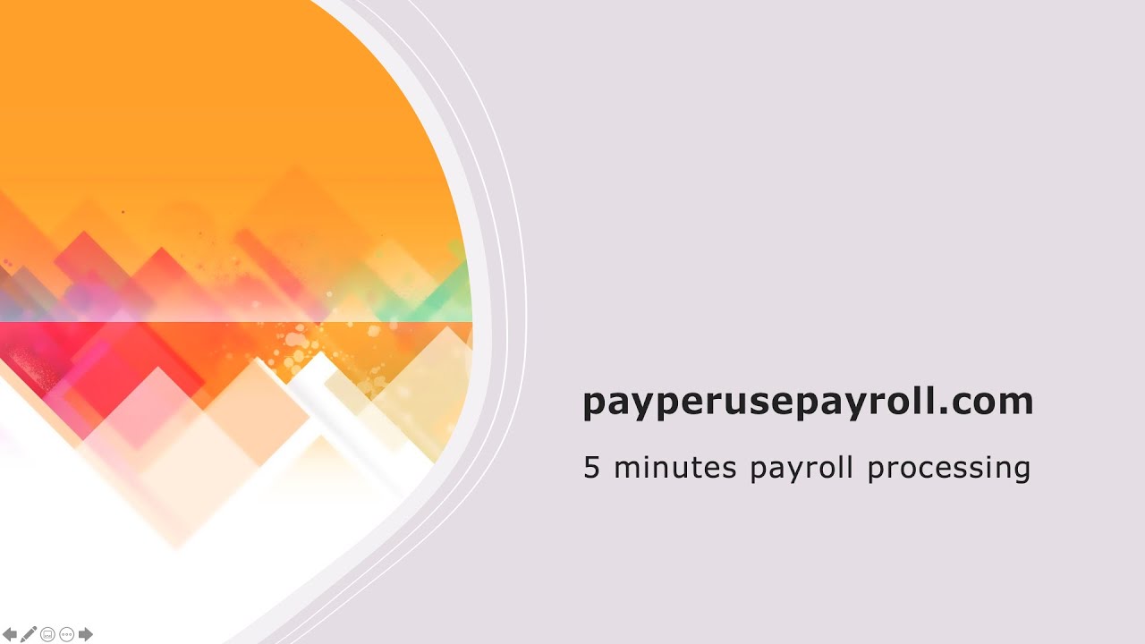 payperuserpayroll settings