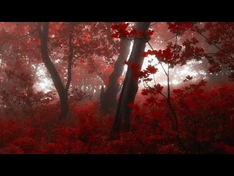 Beginning//Initial subliminal booster